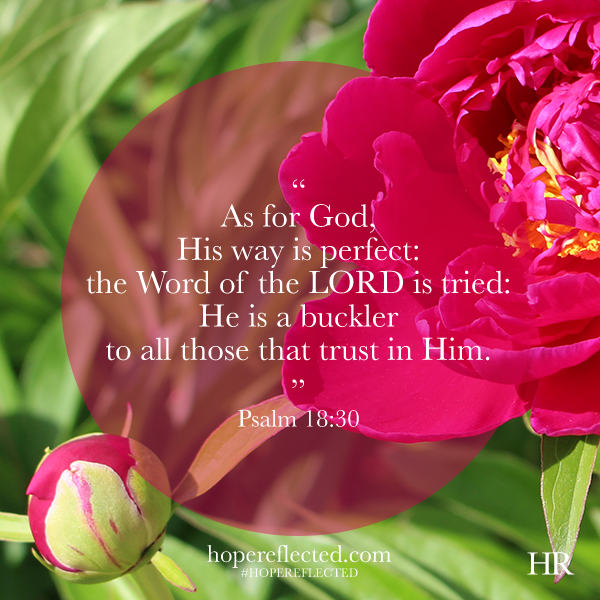 Monday Encouragement Psalm 18 30 Hope Reflected Monday Encouragement Psalm 18 30 Hope Reflected