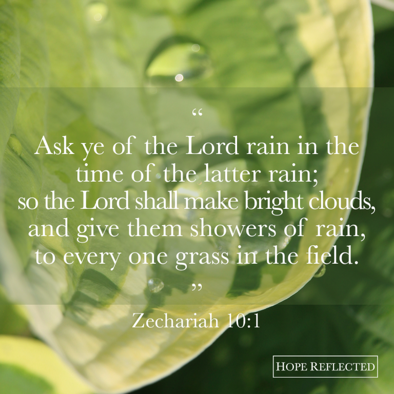 Hope Reflected | Encouragement | Zechariah 10:1 - Hope Reflected