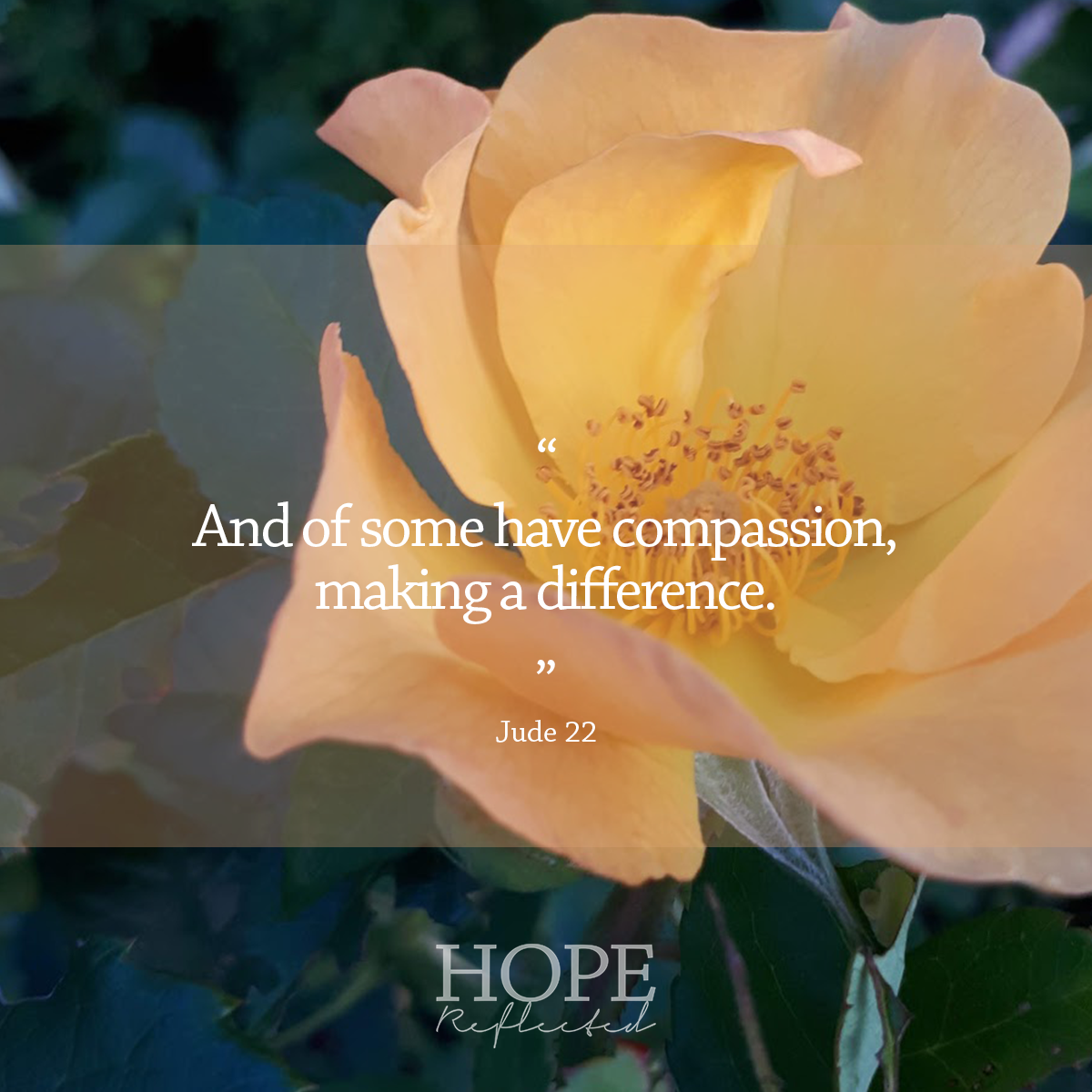 The Compassion of Christ - Christian Living - Hope Reflected