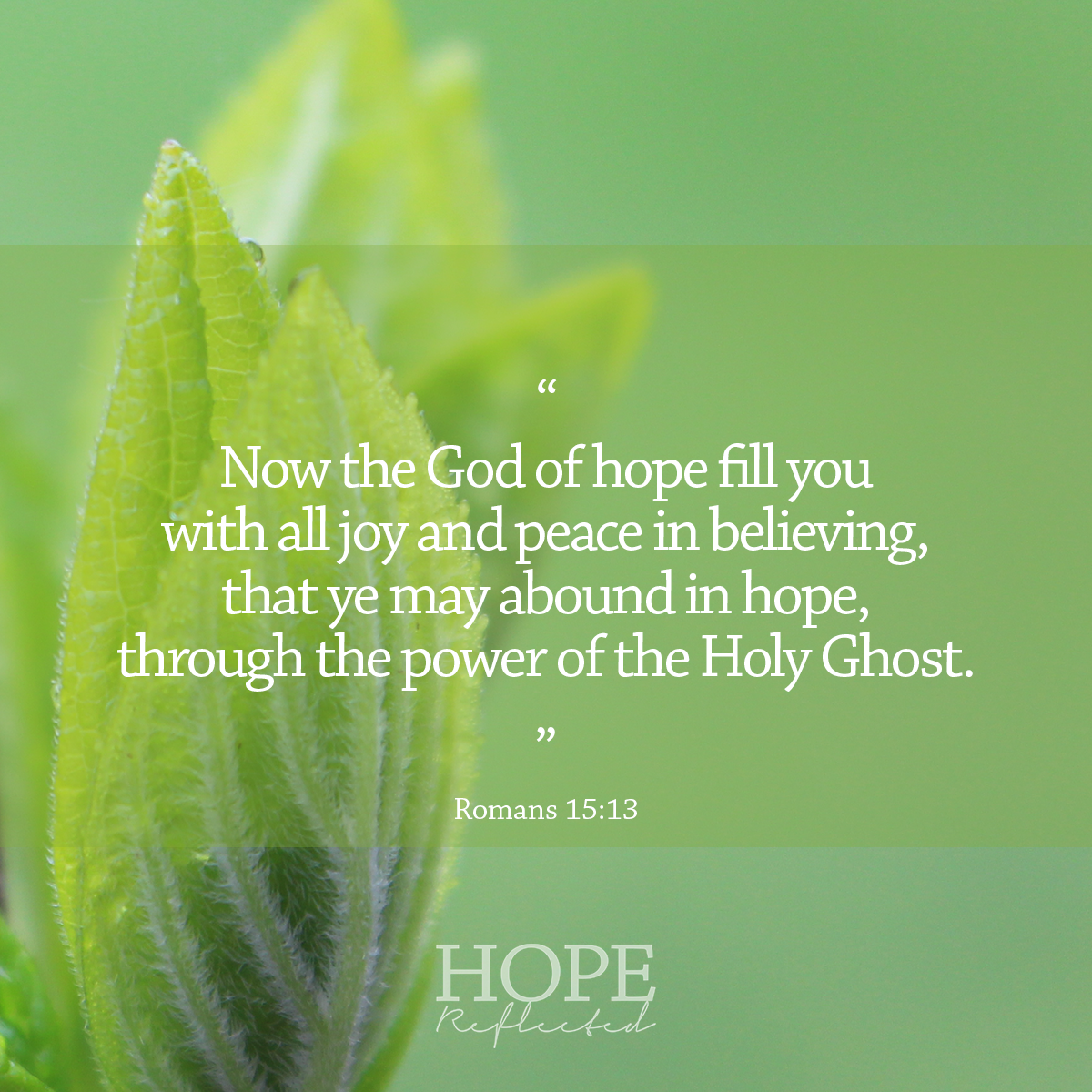 The God of hope - Christian Living - Hope Reflected
