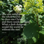 Hope Reflected - Encouragement and hope from God's Word